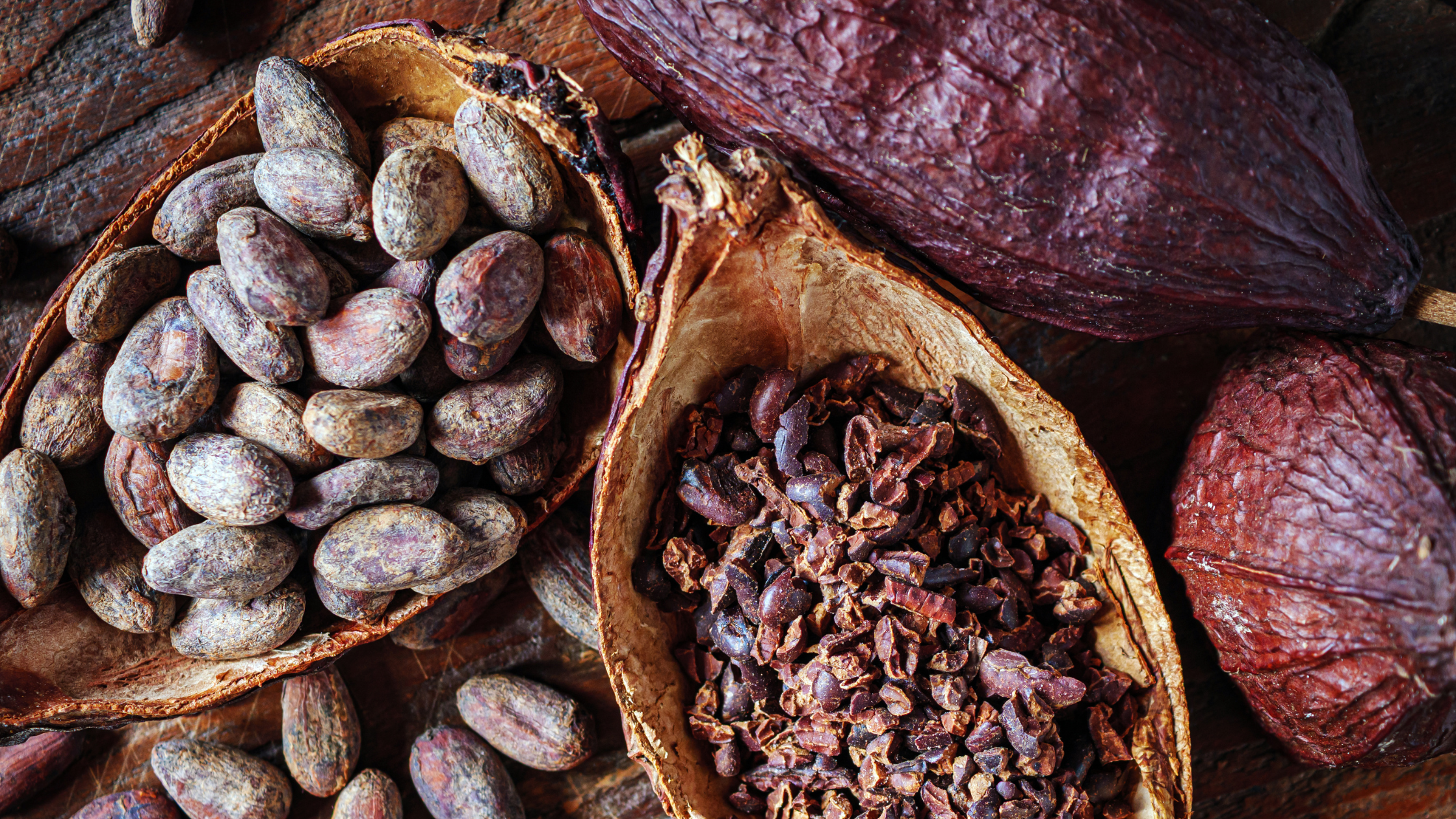 Why Chocolate Medicine Works: The Science of Taste & Kids – Dr. Cocoa